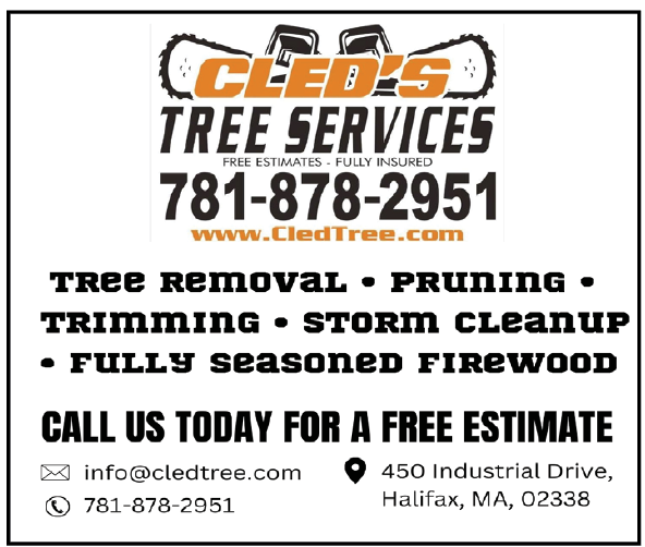 A look back on winter’s highlights • Whitman-Hanson Express