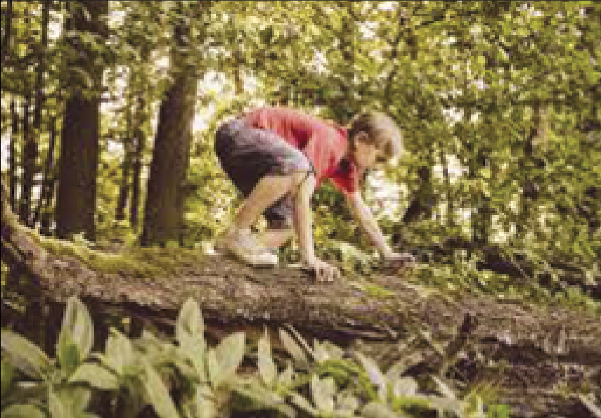 The stolen days • Whitman-Hanson Express