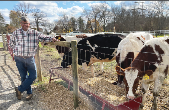 The 'girls' are back in town • Whitman-Hanson Express